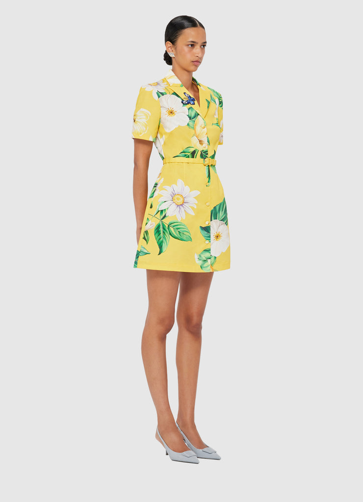 Brigitte Mini Dress - Joie Print in Sunshine – LEO LIN