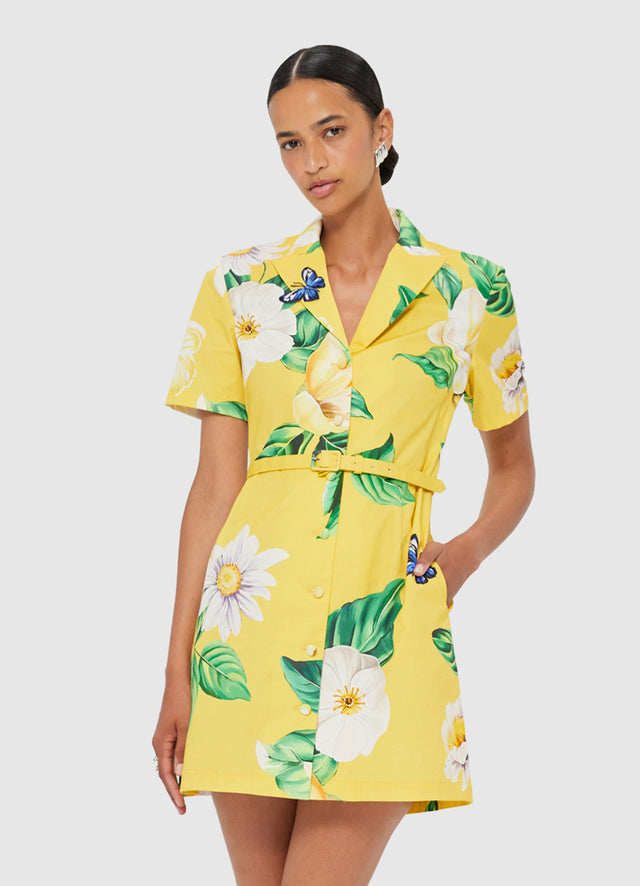 Brigitte Mini Dress - Joie Print in Sunshine – LEO LIN