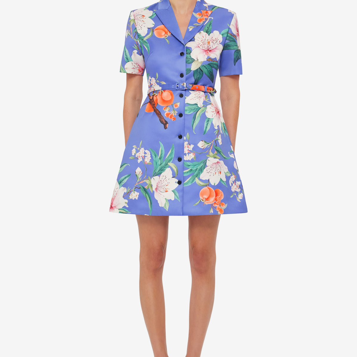 Brigitte Mini Dress - Lavish Print in Moonlight – LEO LIN