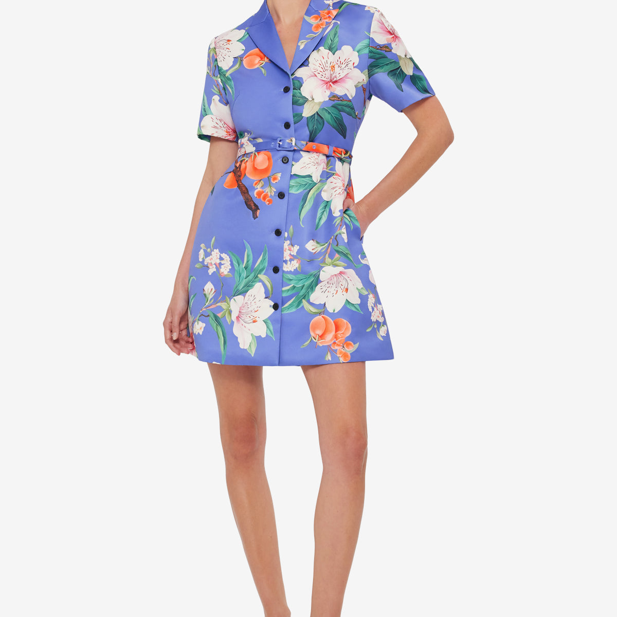 Brigitte Mini Dress - Lavish Print in Moonlight – LEO LIN