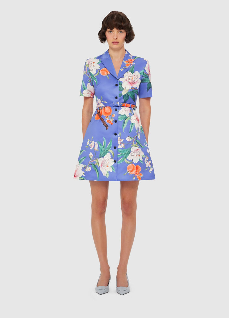 Brigitte Mini Dress - Lavish Print in Moonlight – LEO LIN