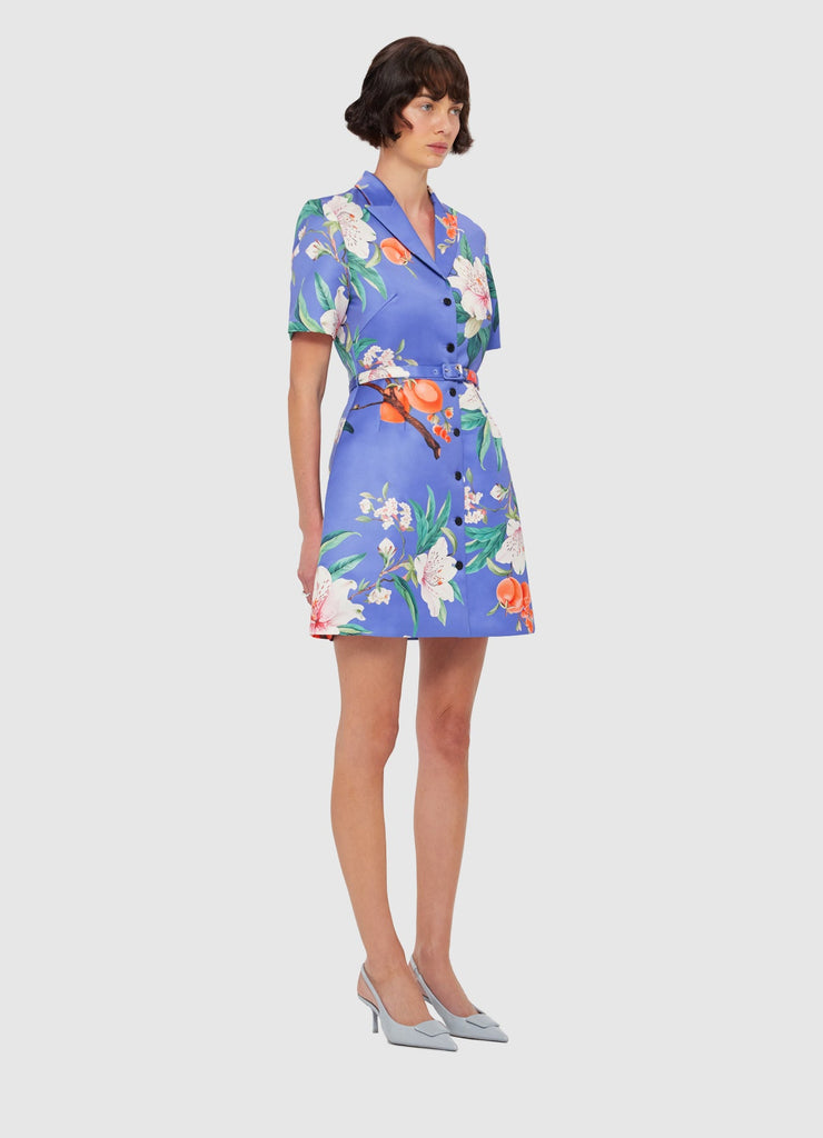 Brigitte Mini Dress - Lavish Print in Moonlight – LEO LIN