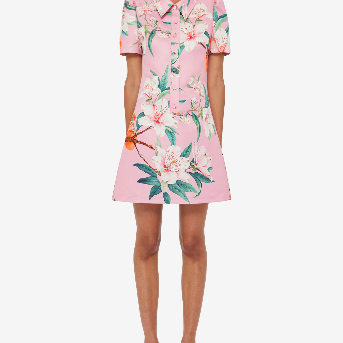 Brooke Mini Dress - Lavish Print in Pink – LEO LIN