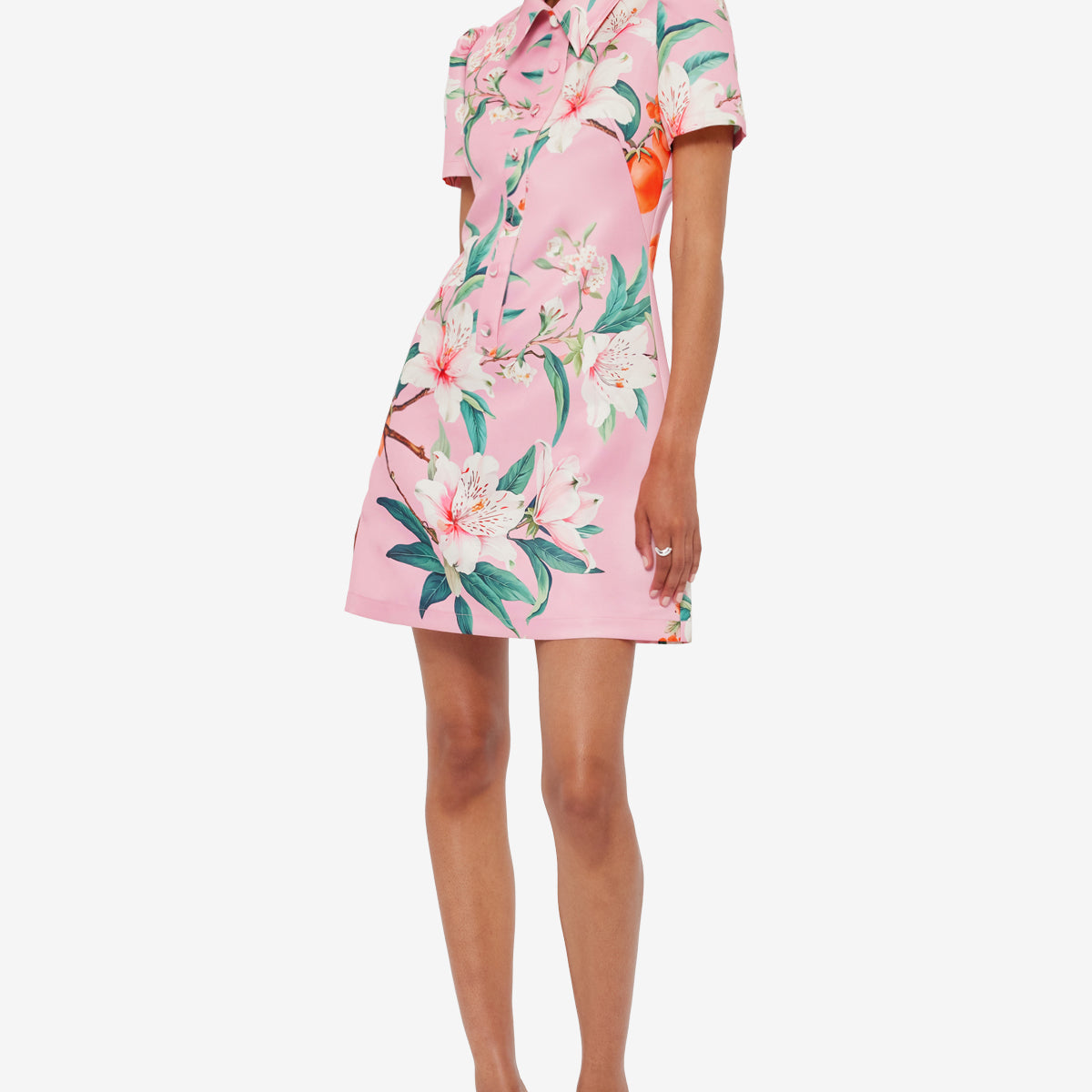 Brooke Mini Dress - Lavish Print in Pink – LEO LIN