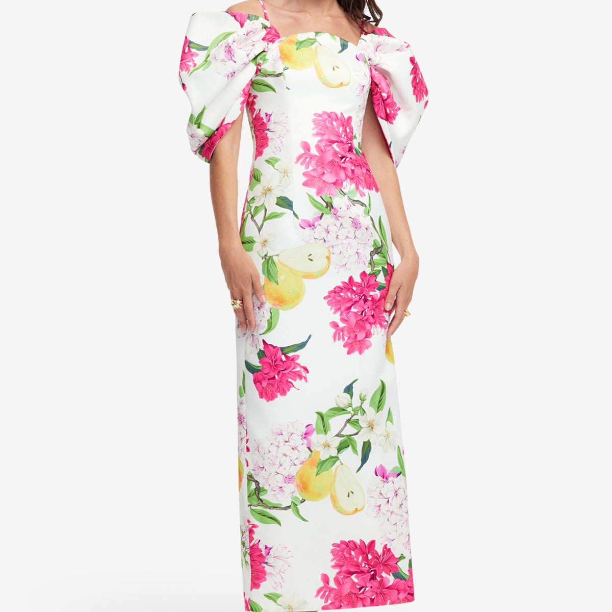 Arabella Maxi Dress - Floral Pear Print – LEO LIN