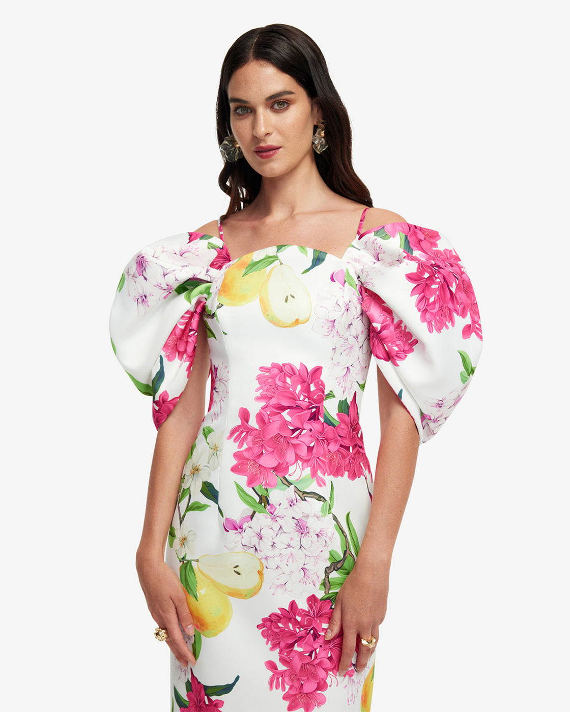 Arabella Maxi Dress - Floral Pear Print – LEO LIN